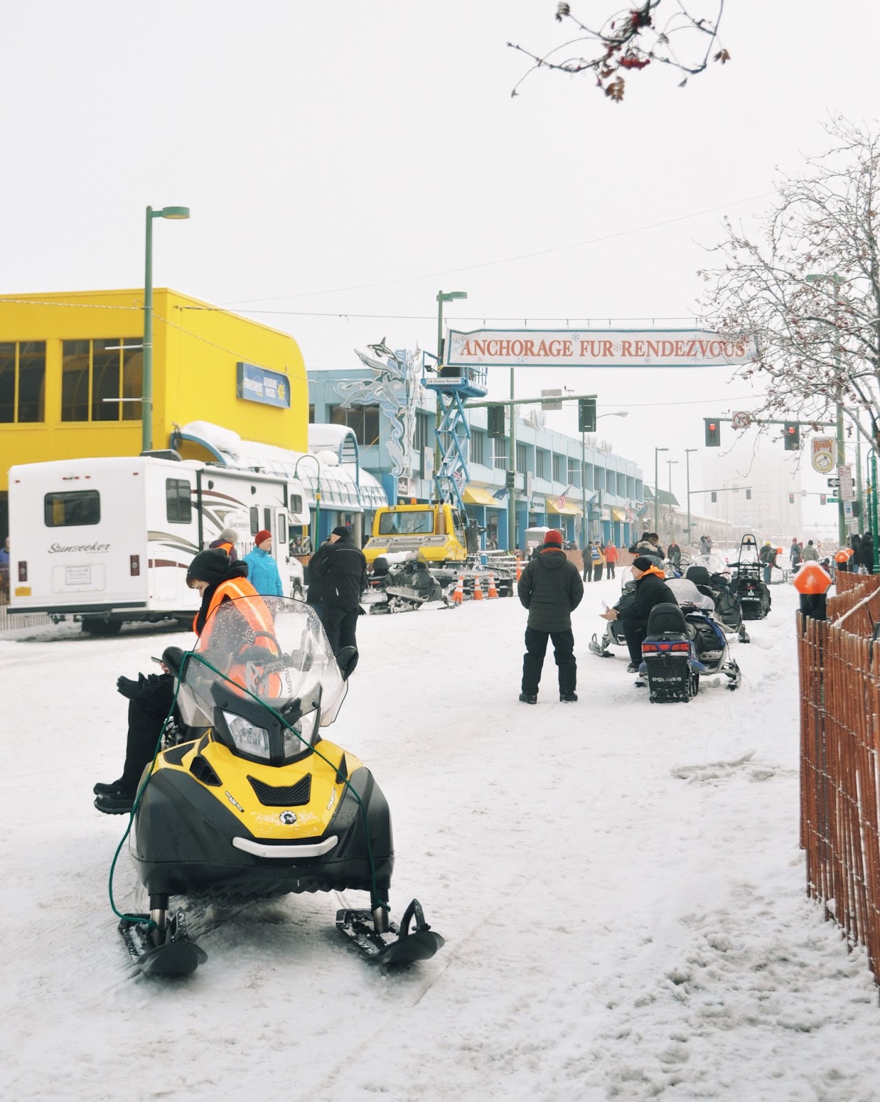Heart Alaska: Fur Rondy Sled Dog Races
