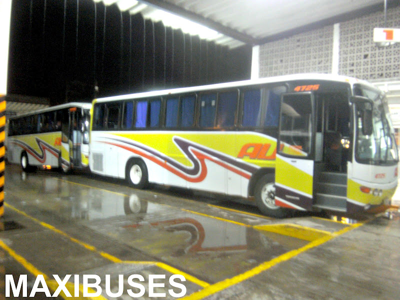 MAXIBUSES: AUTOBUSES UNIDOS (AU)