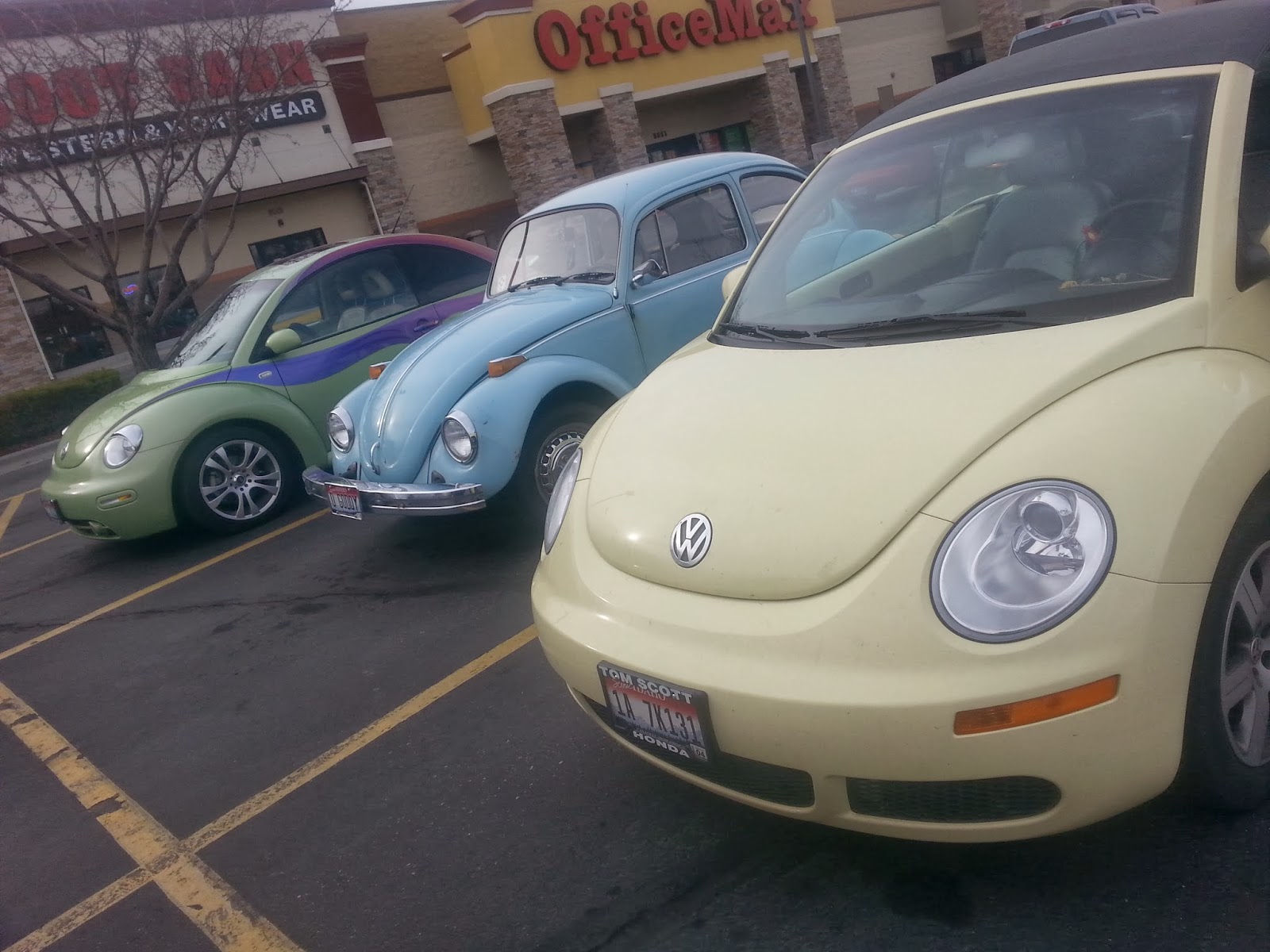 Joyful Expressions: #NaPhoPoMo Day 18...Slug Bug Row!!!