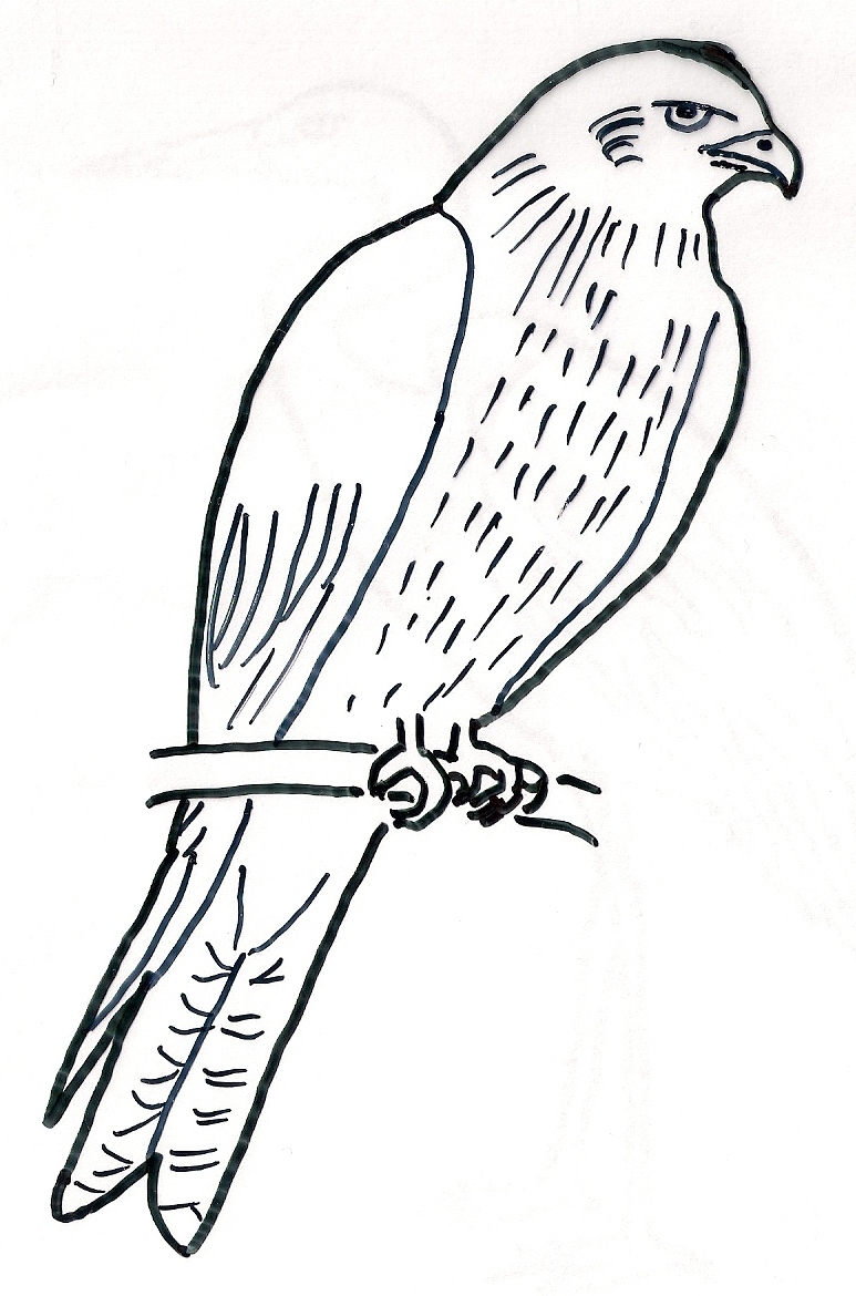 Pöttyös doboz: Madaras könyv