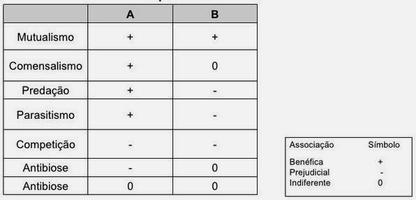 Bio e Geo em movimento: Biodiversidade