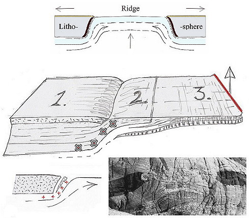 Don Findlay's Expanding Earth Blog: Flat (slab) Subduction