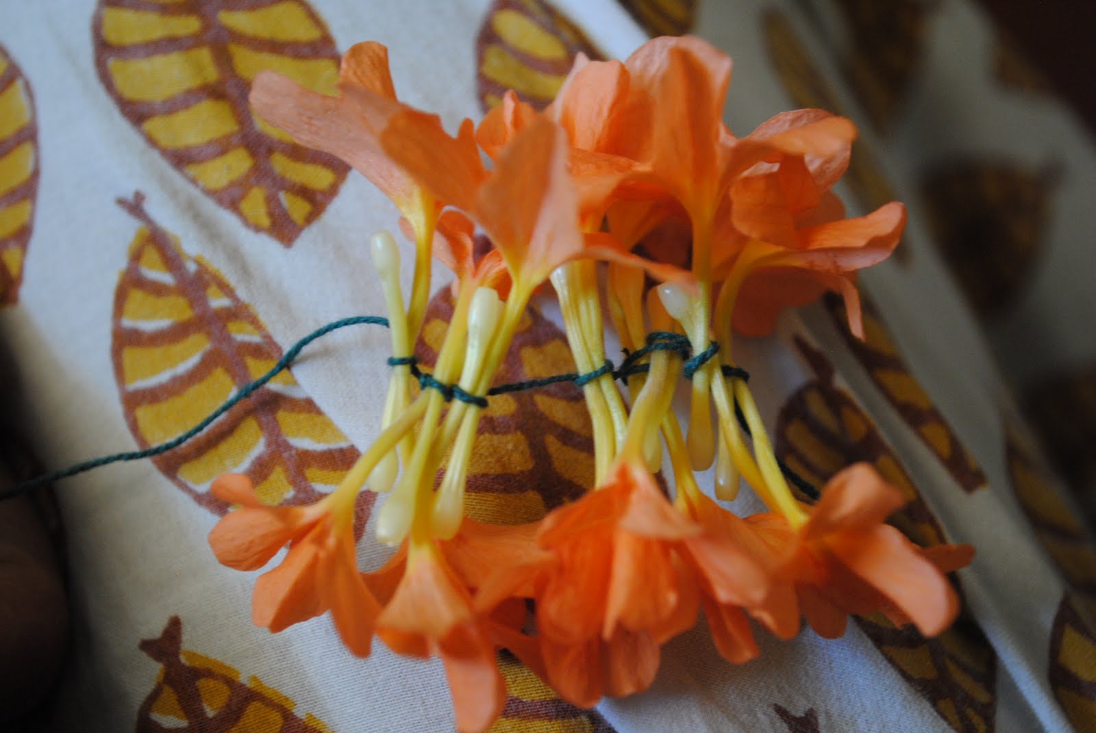 Four Leaf Clover: K for Kanakambaram