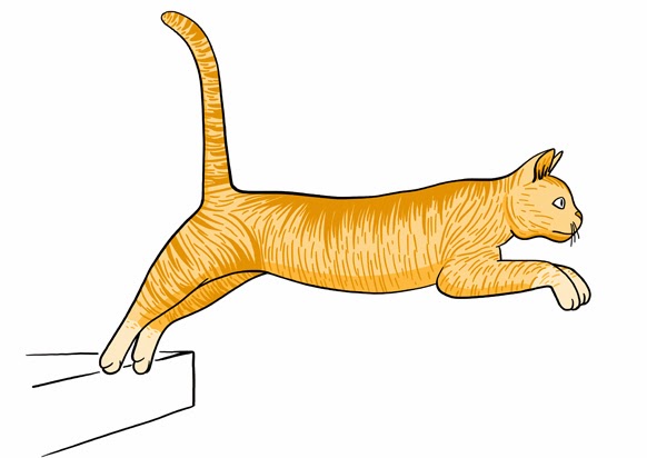 Aventureros del tiempo: Gato tumbado, gato saltando, gato de pie