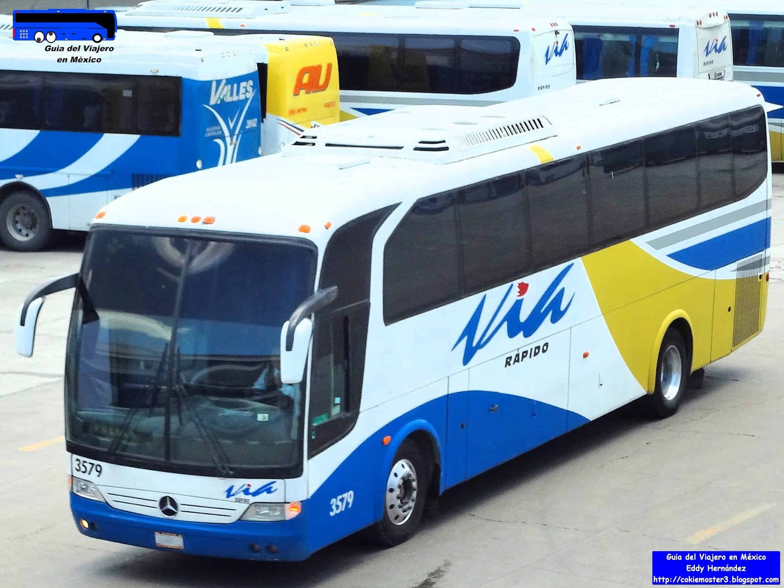 Todas estas líneas de autobús tienen algo en común