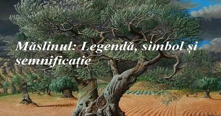 Măslinul: Legendă, simbol și semnificație - diane.ro