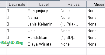 DSMLMD Blog: Cara Membuat Tabel Frekuensi di SPSS