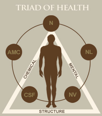 Family Love Village: Can Neuro Emotional Technique (NET), Chiropractic ...