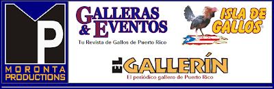 Noticias22 Mundial: GALLERAS Y EVENTOS®