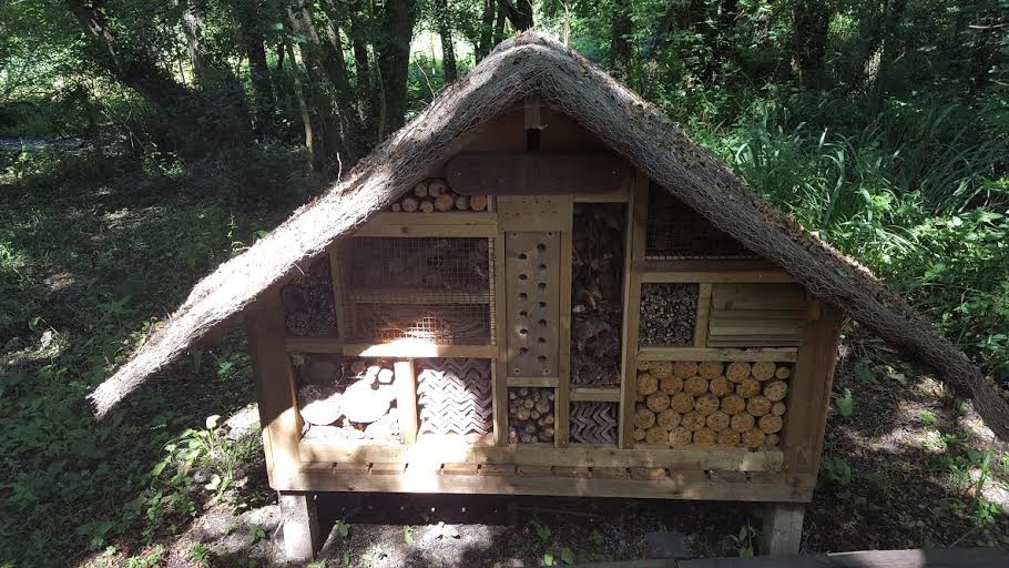 Seed to Feed Me: HOW TO MAKE AN INSECT HOUSE