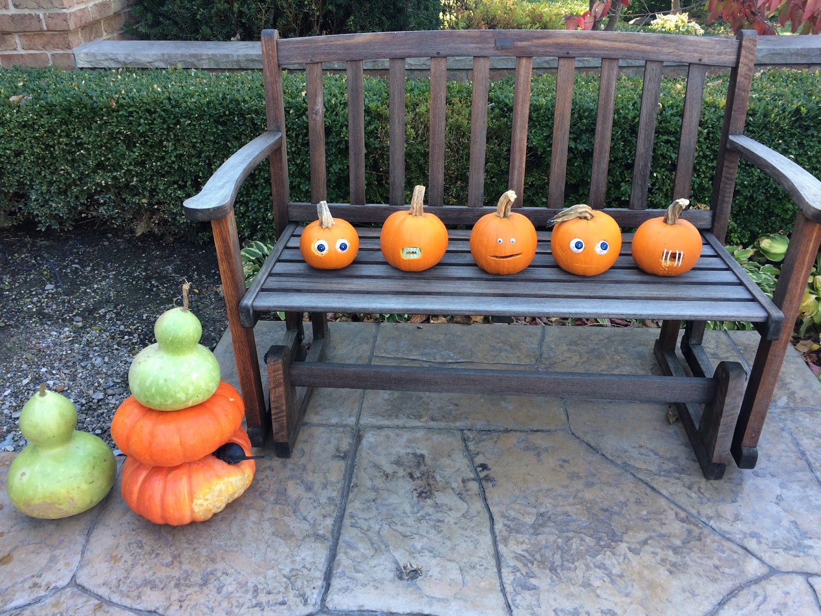 Make My Day Camp: Pumpkin Line-Up