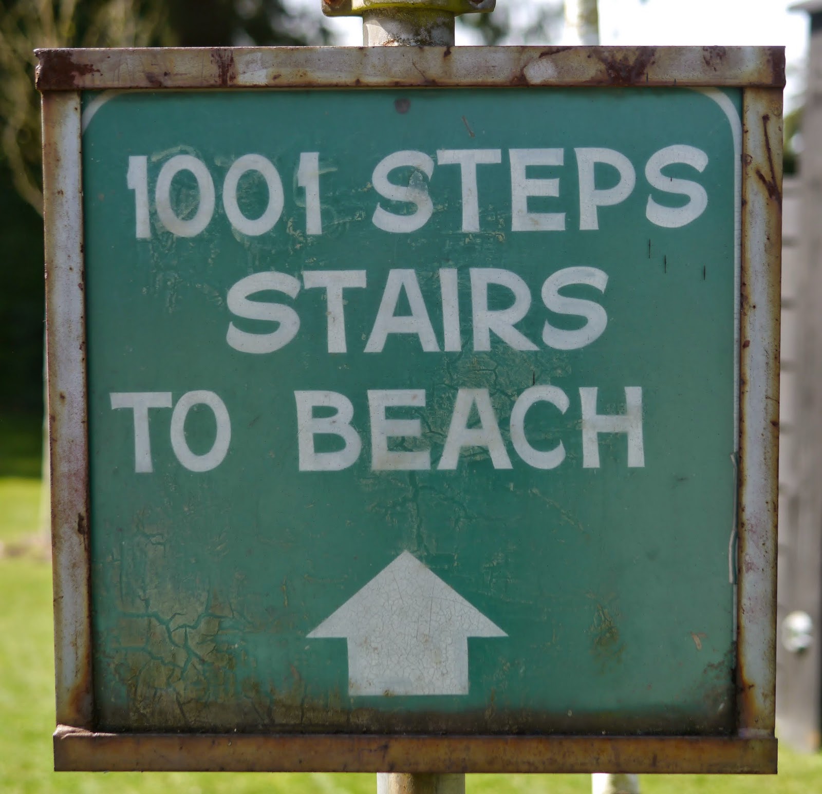 1001 Steps to the Beach – Backwoods Mama