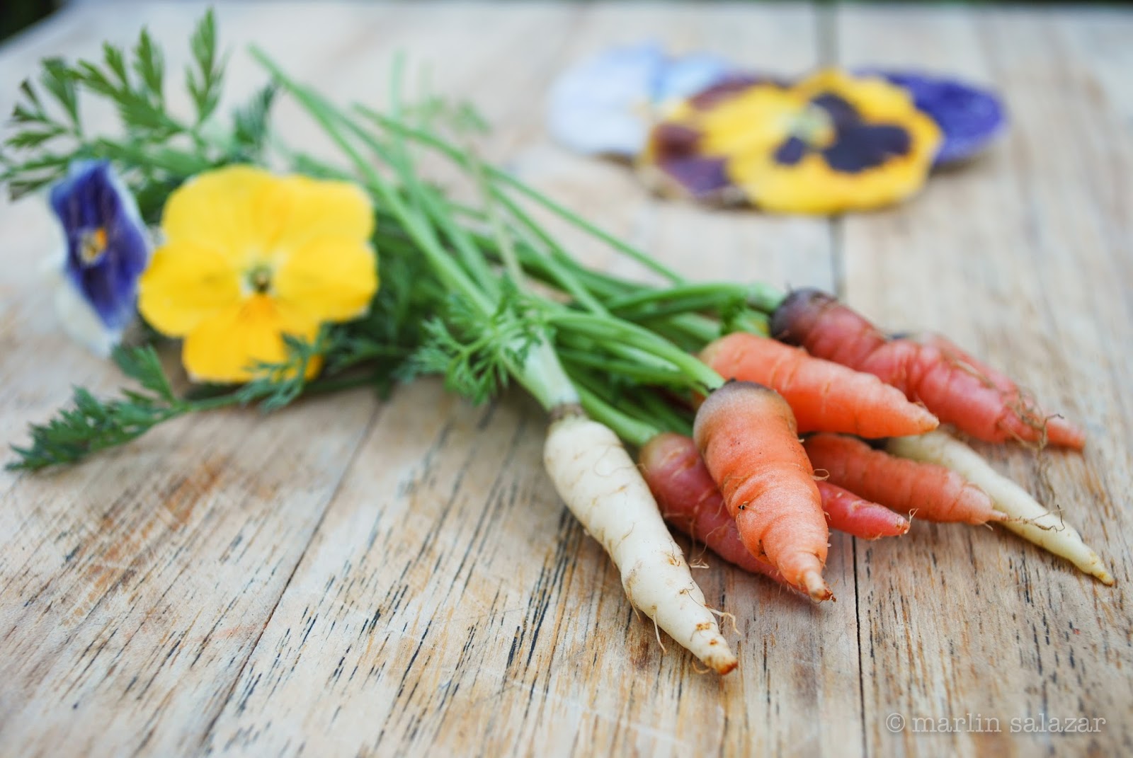 Marlin Salazar Food Styling and Photography: Micro Vegetables