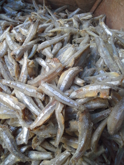 5 Makanan Berprotein Tinggi Yang Rendah Lemak