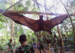 Giant golden-crowned flying fox ~ iFacts