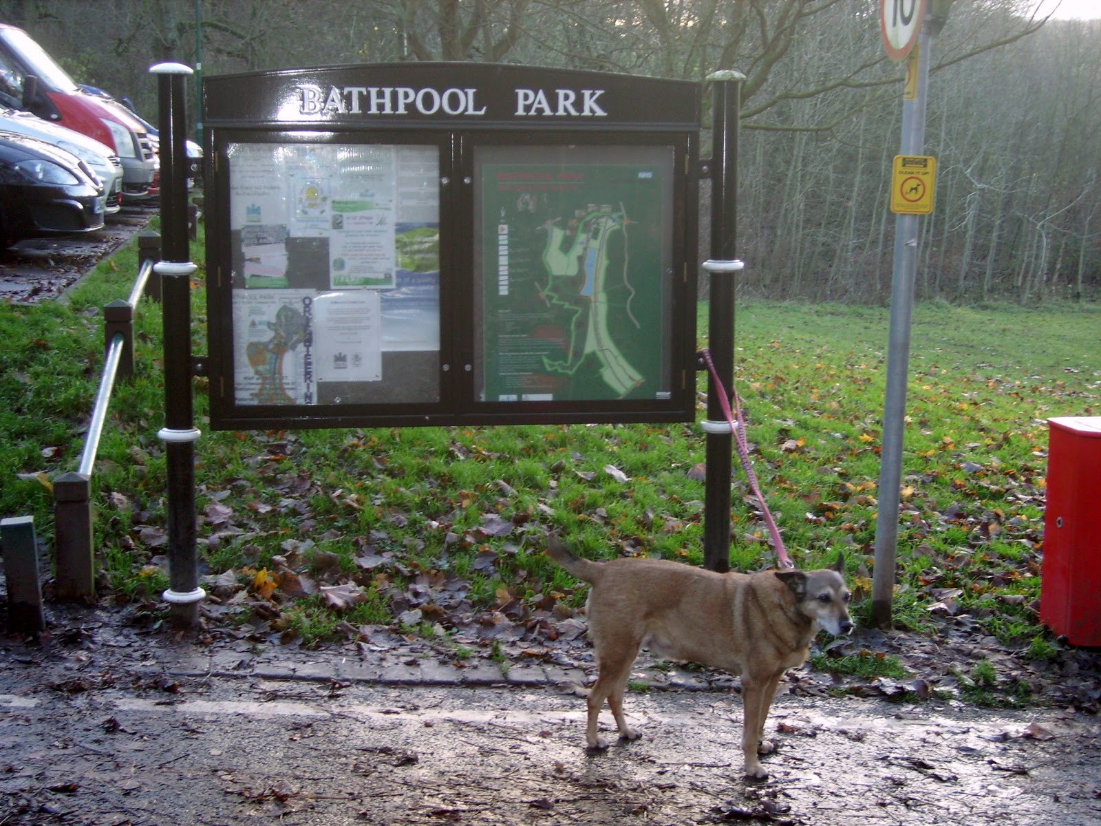 Dog Walks in Staffordshire: Bathpool Park