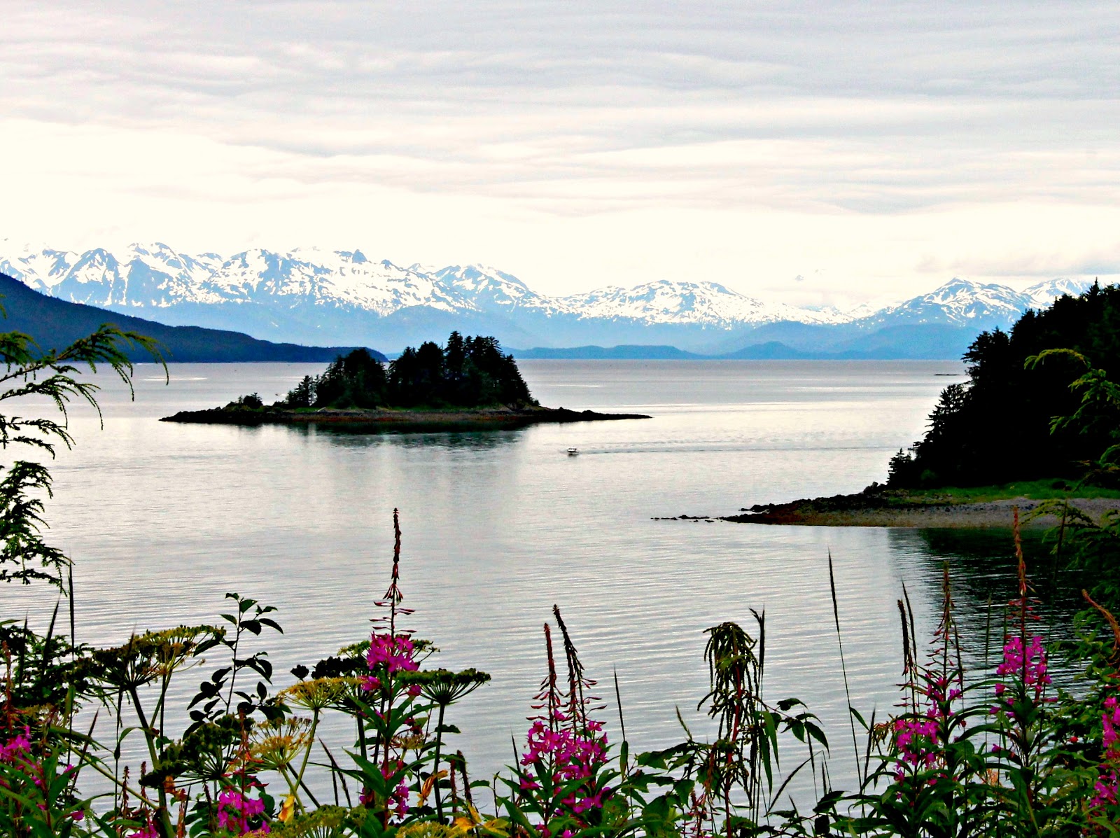 Sandra's Alaska Photography: Mid-July 2012: An Afternoon "Out the Road ...