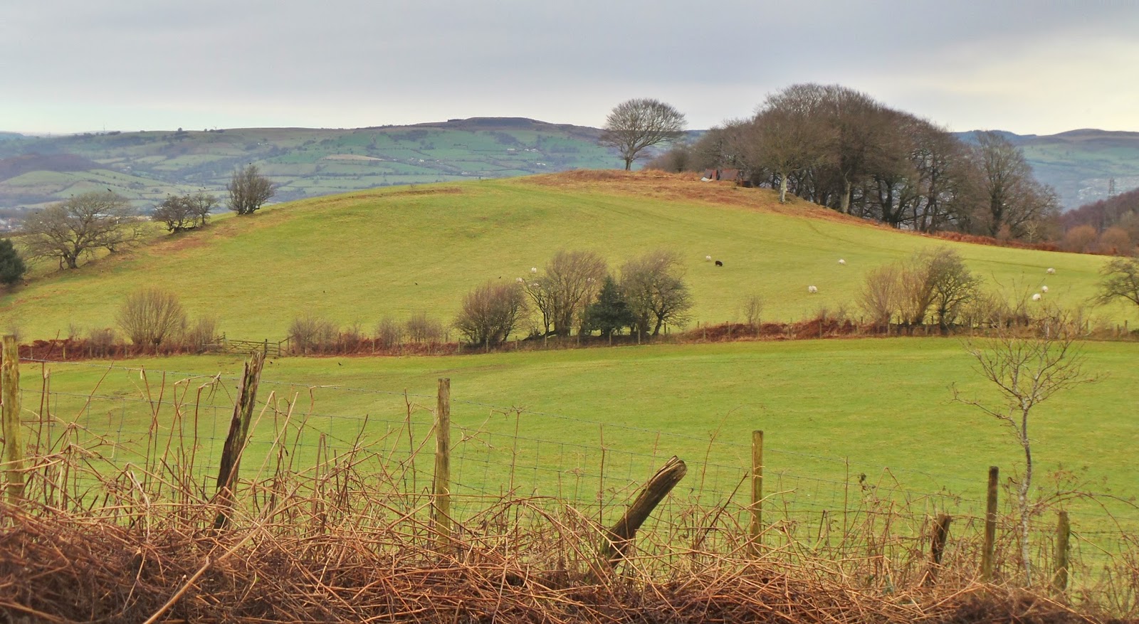 Walking the Chesters: Caerphilly to Cardiff - Gwyddau a chestyll ...