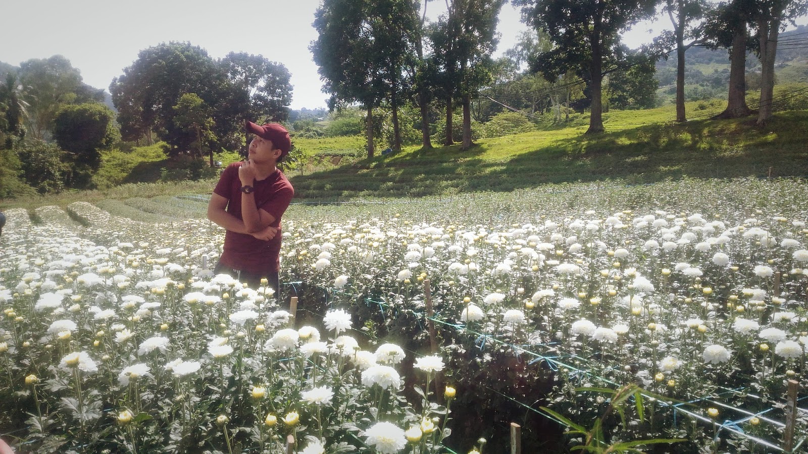 Budlaan Falls - Malubog Golf Course - Sirao Peak Trail - #LaagPaMore