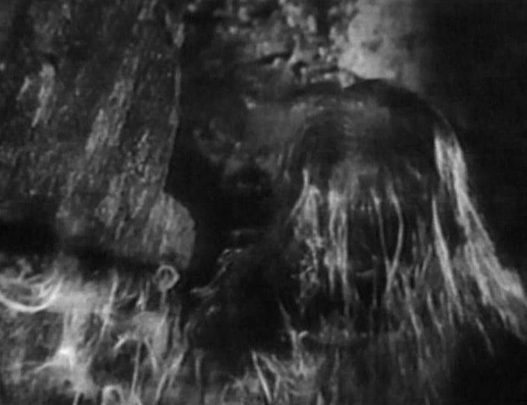 13: BEAST FROM HAUNTED CAVE / Gene Corman Productions - 1959