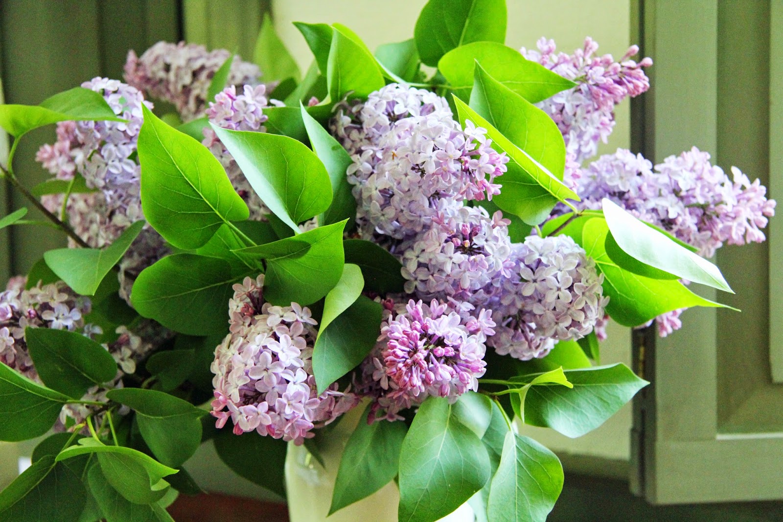 In the Fields : June Lilacs