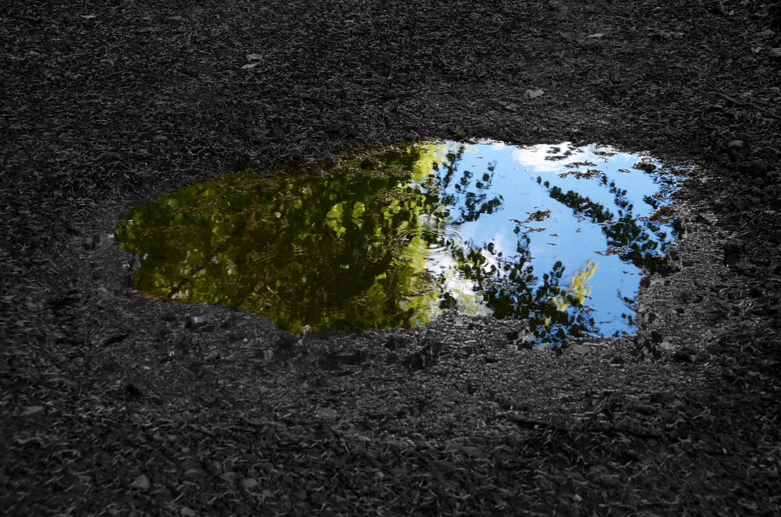 The Plashing Vole: All of a muddle.