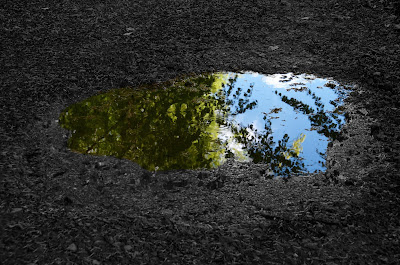 The Plashing Vole: All of a muddle.