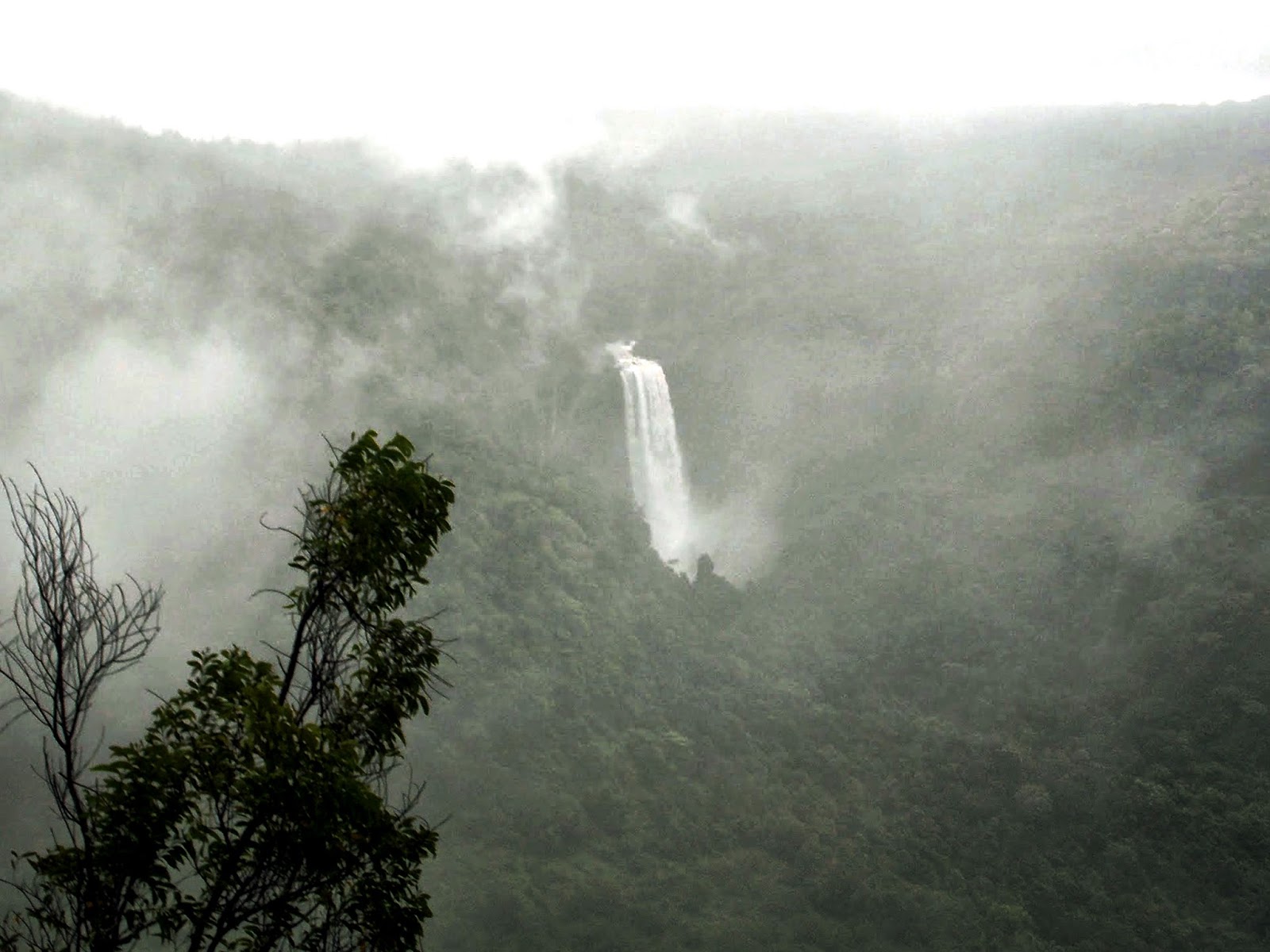 Sharing My Travel Experiences: Experience with Western Ghats untouched ...