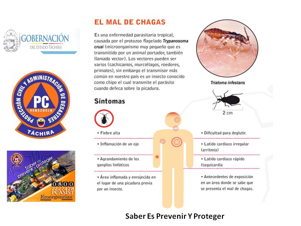 Protección Civil Táchira: EL MAL DE CHAGAS - SÍNTOMAS
