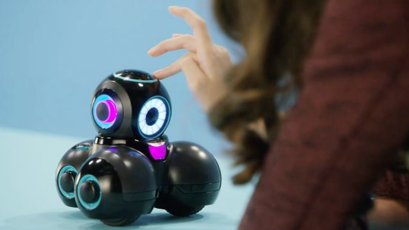 Dot and Cue | Two great programming robots for kids!
