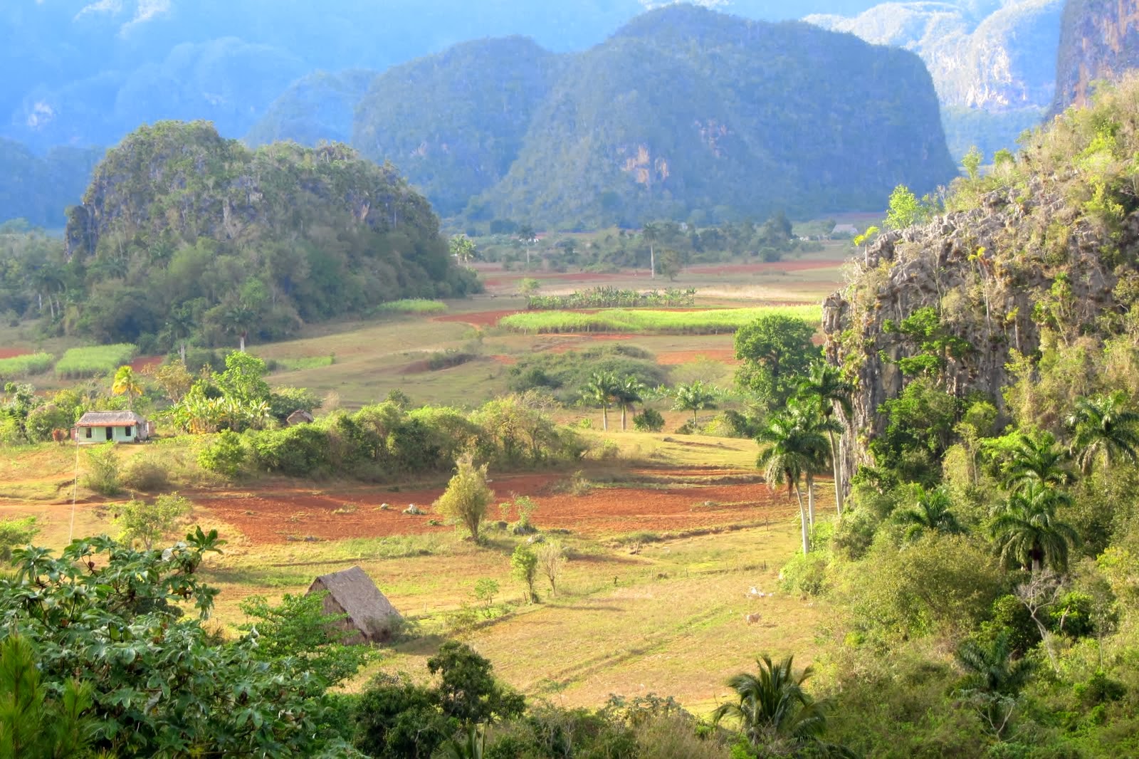 Check Out The Exotic Cuba | Exotic Holidays Choice