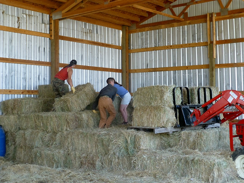 Rural Revolution: Hay day