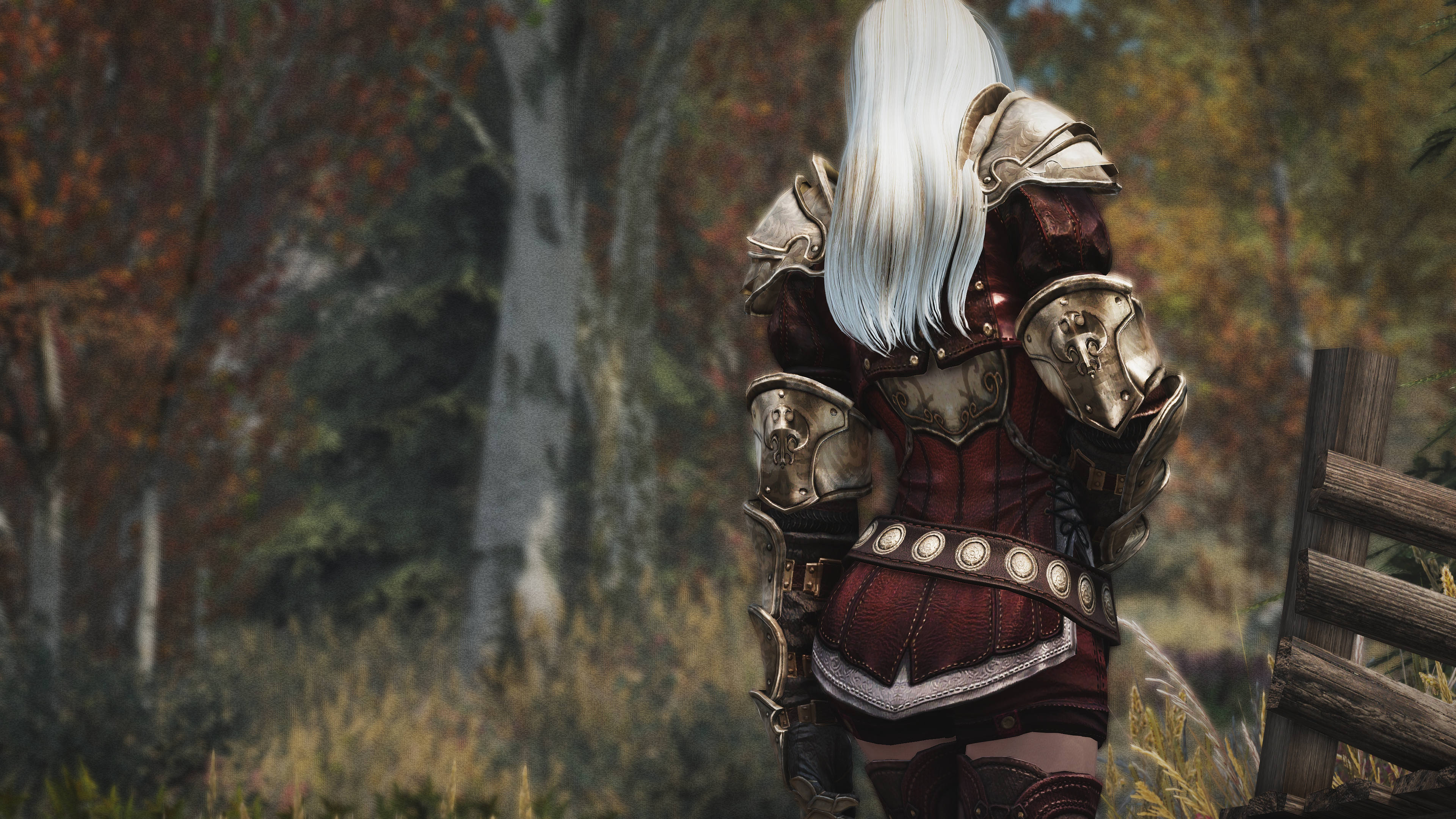 Bless Leoni Armor UUNP (Diana) 4K