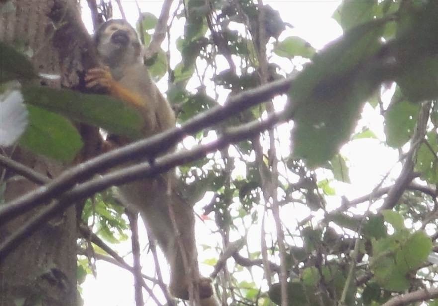 Con un par... de geólogos!: Esta vez me ha tocado Bolivia…