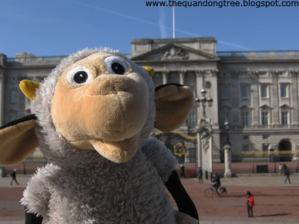 The Quandong Tree: Wiley!