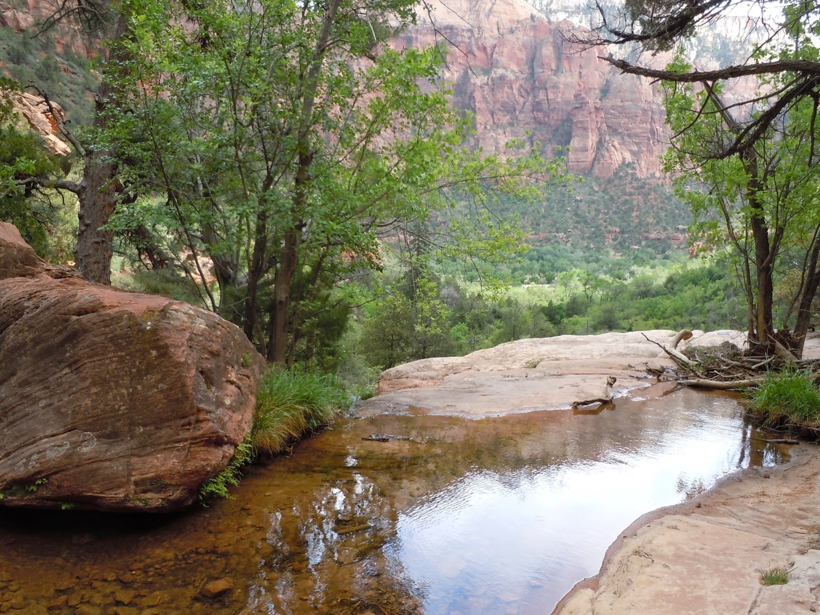A Hiker's Journal: Zion National Park