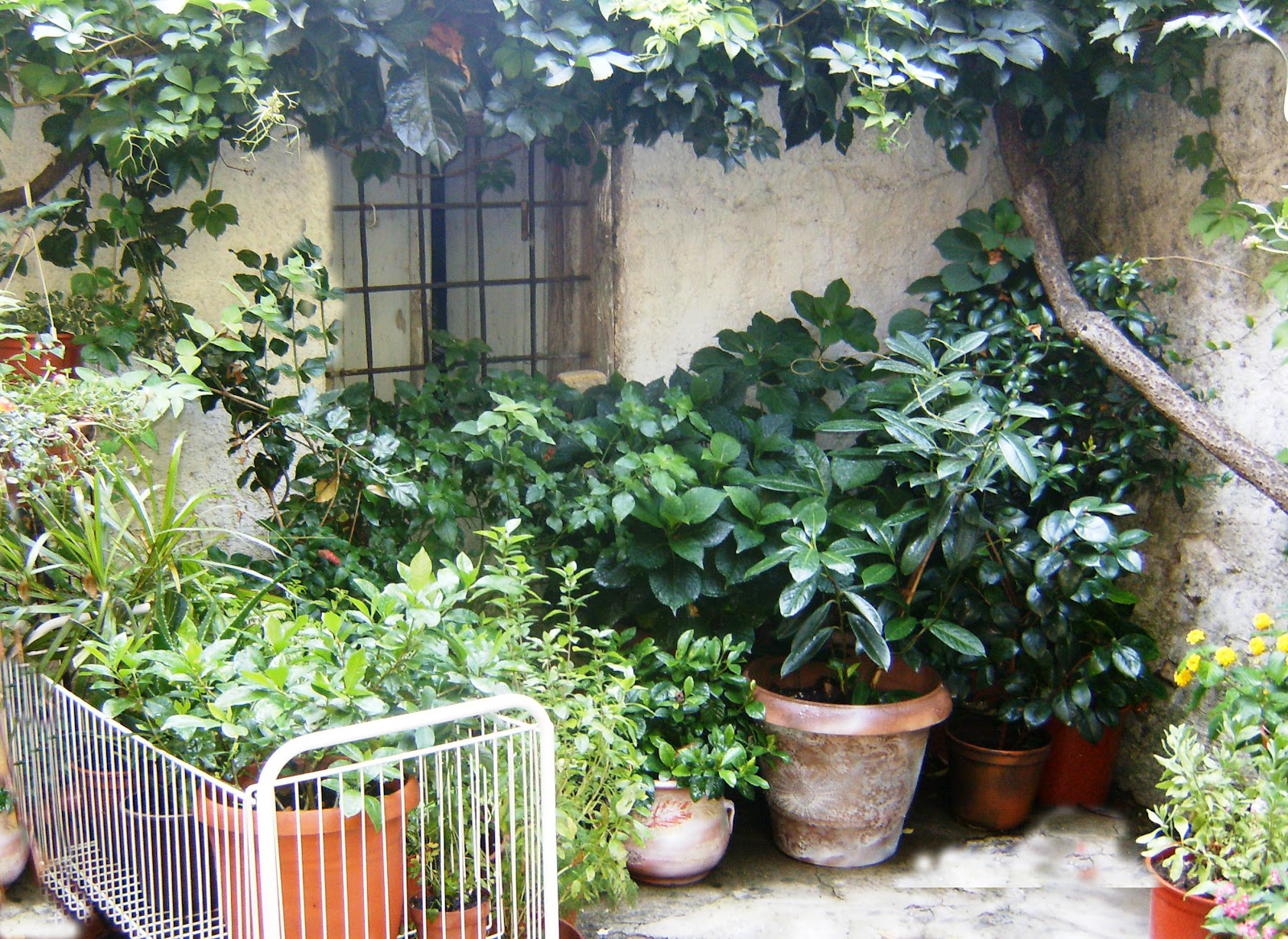 lila365idees: ΒΑΣΗ ΓΙΑ ΓΛΑΣΤΡΕΣ ΑΠΟ ΠΑΛΙΟ ΚΟΜΟΔΙΝΟ (BRACKET FOR POT OF ...