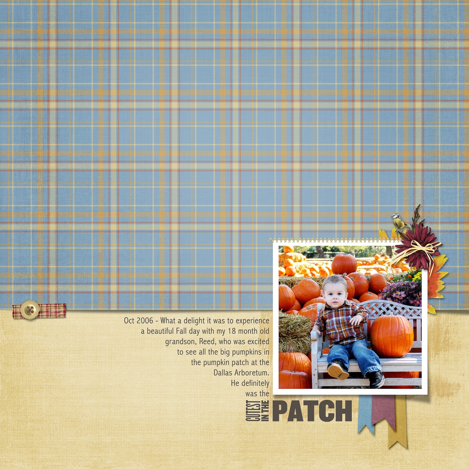 So Thankful For . . .: CUTEST IN THE PATCH