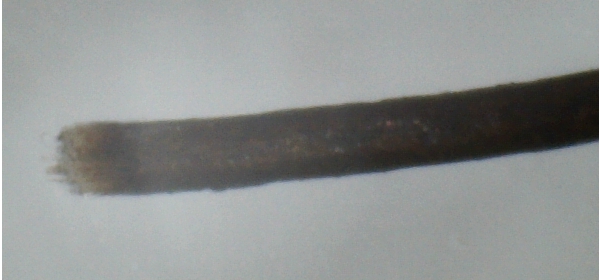 What Do Split Ends Look Like Under A Microscope