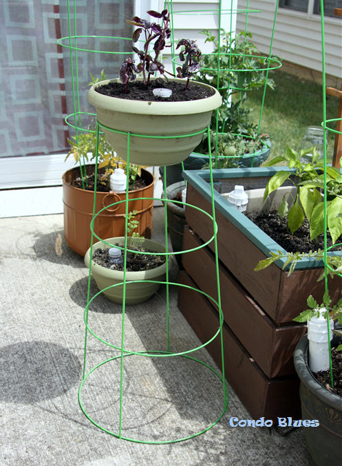 Topsy Turvy Tomato Stand