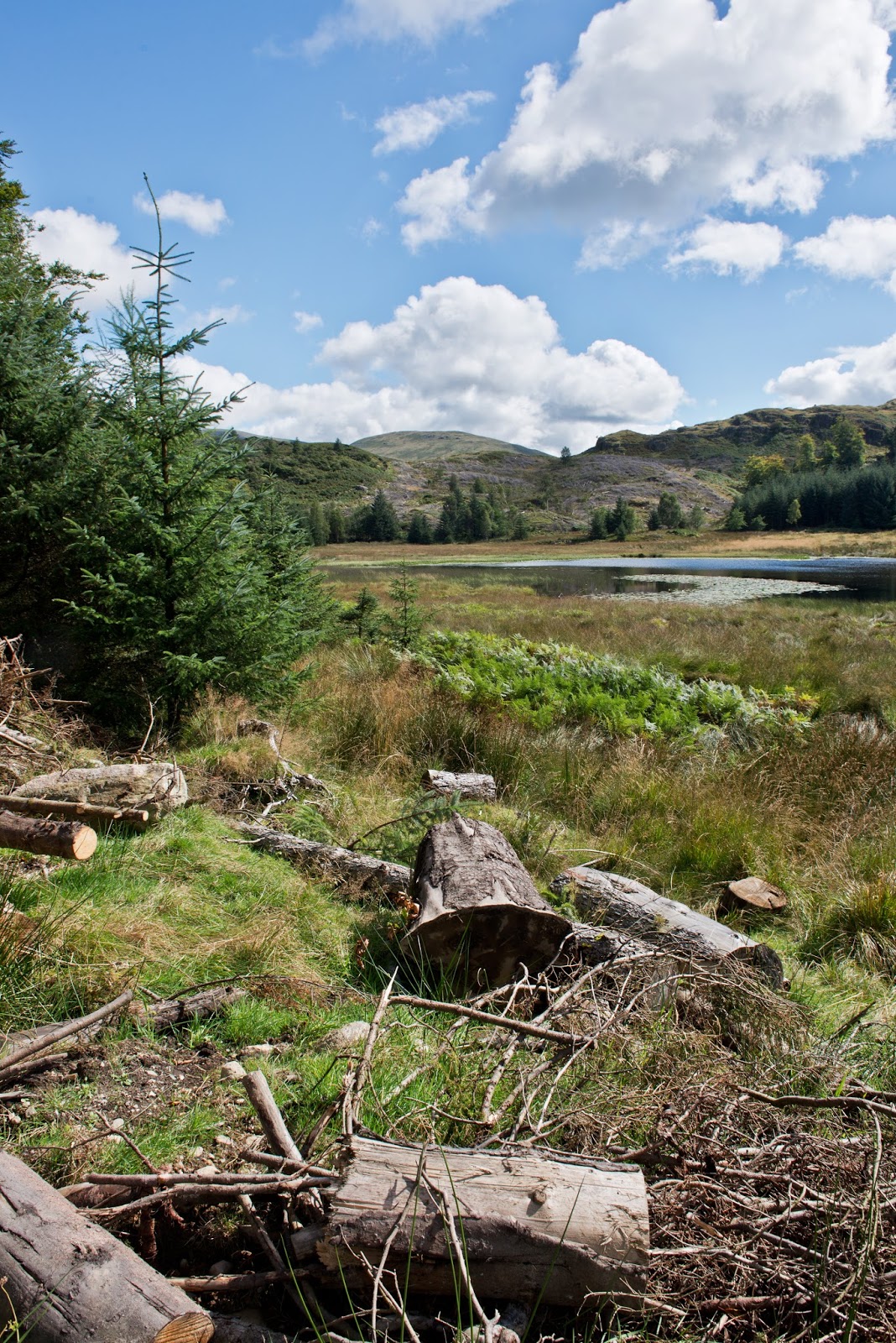 Wigtwizzle - Norman Smith's Travel Blog.: Harrop Tarn and Thirlmere