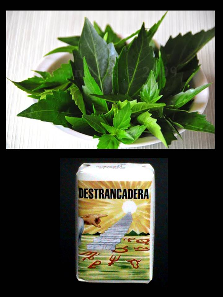 Oracion para despojar