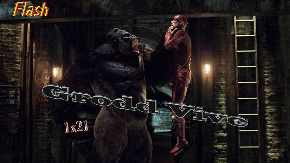 SERIES DE ALU-CINE: Flash 1x21: Grodd Vive