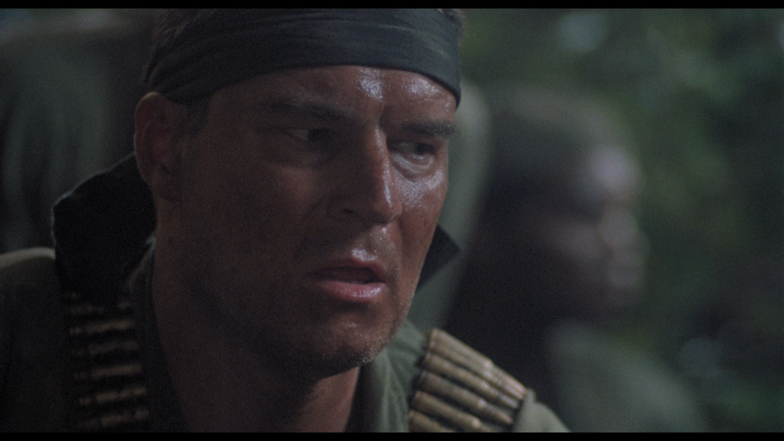 HOUSE WEEK DAY 1: House (1986) (Part of the House: The Collection box ...