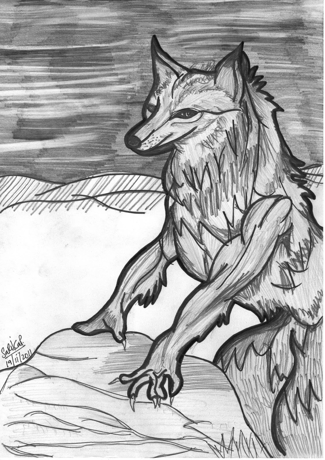 Jacob Black Wolf Drawing