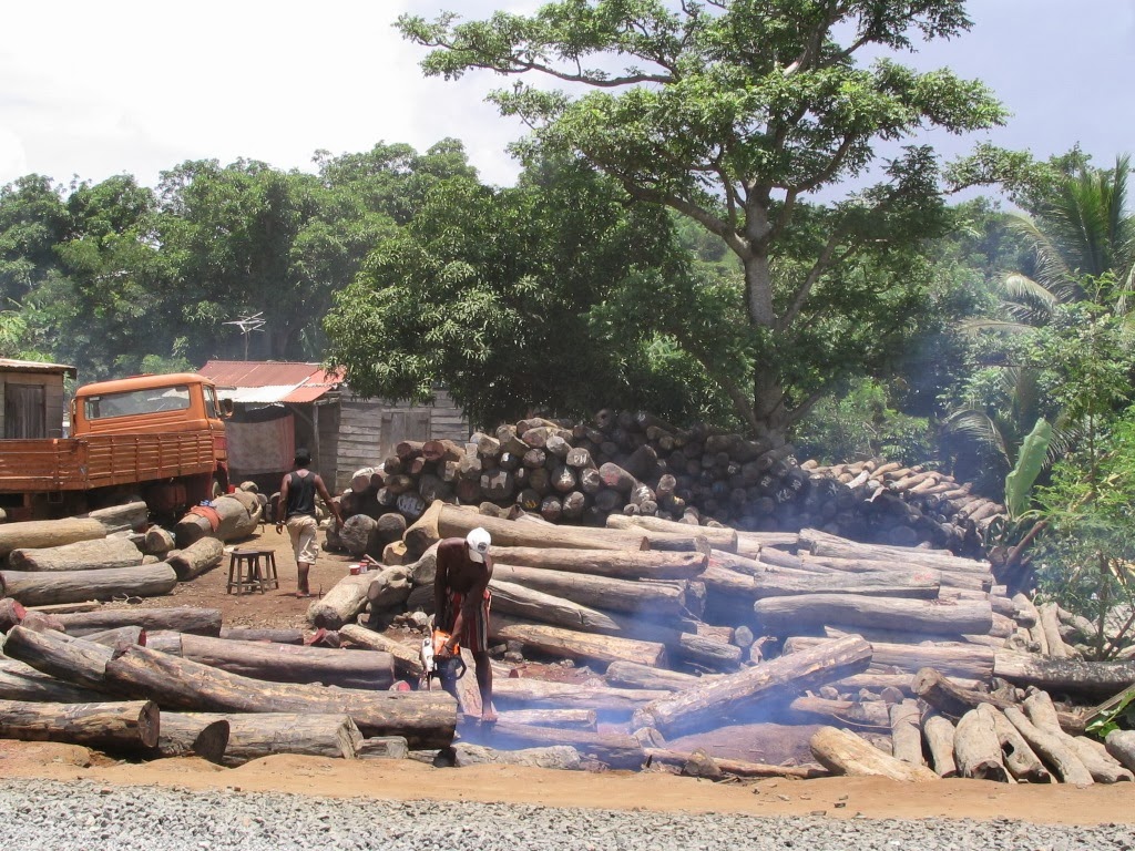Deforestation in Madagascar