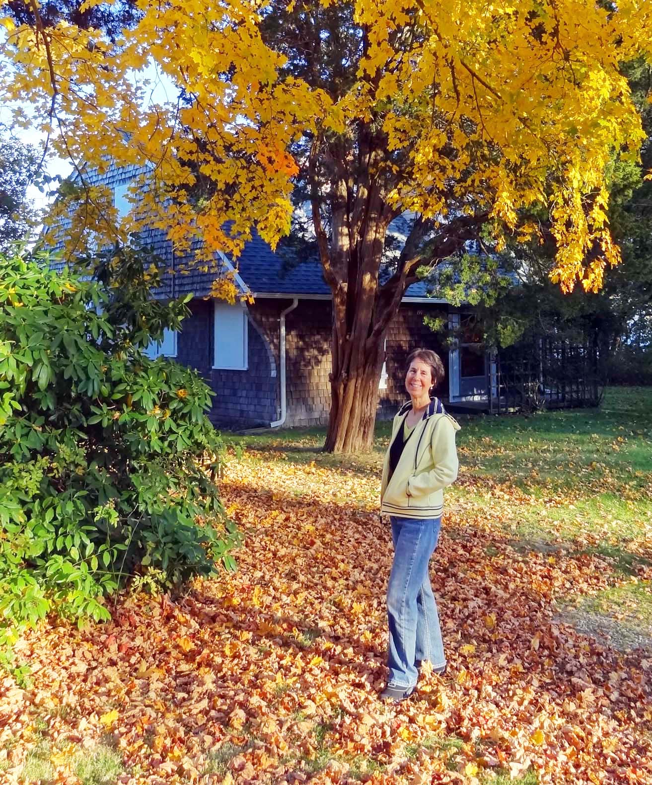 Joe's Retirement Blog: Fall, Manomet, Plymouth, Massachusetts, USA