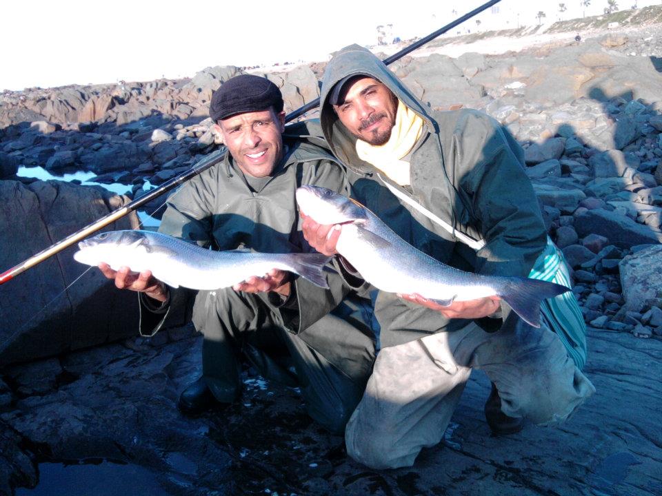 Peche de loup bar au maroc