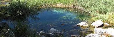 BRILLANTE: ¿En dónde se localizan los manantiales más grandes de México?