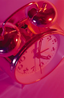 Domestic Diva In Training